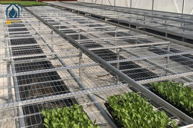 Greenhouse Moveable Mesh Seed Bench Rolling Nursery Seedbed With ...