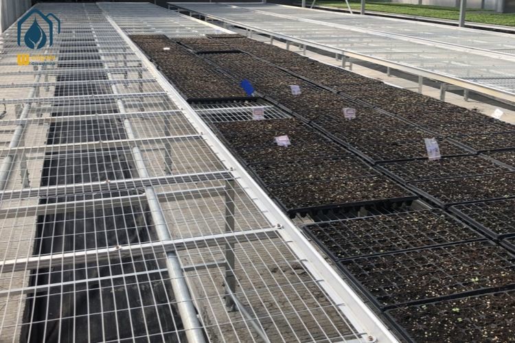 Tableaux roulants pour serre